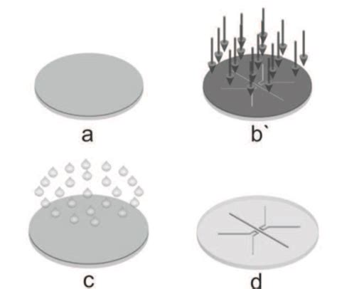 Figure From LAB ON A CHIP MICRODEVICE WITH CONTACTLESS CONDUCTIVITY DETECTOR Semantic Scholar