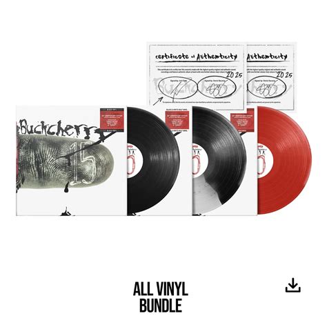 Endurance Music Group Announces Release Of 20th Anniversary Deluxe Edition Of Buckcherrys “15