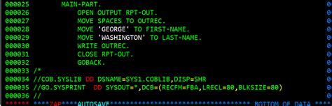 mvs 3 8j from a business programmer perspective
