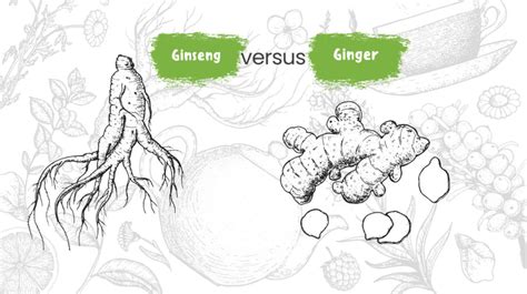 Ginseng Vs Ginger Are They The Same Tastylicious