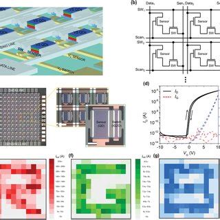 Colorselective Image Sensor Array Applications A Schematic Download Scientific Diagram