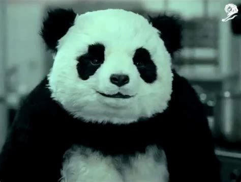 Chinese Panda Reaction Images Biaoqing Panda Head 熊猫人表情包 Know