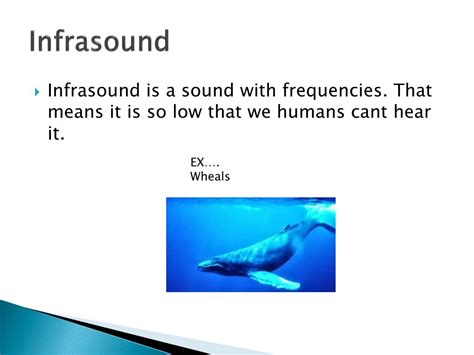 Ppt Infrasound And Ultrasound Powerpoint Presentation Free Download Ppt Infrasound And Ultrasound Powerpoint Presentation Free Download