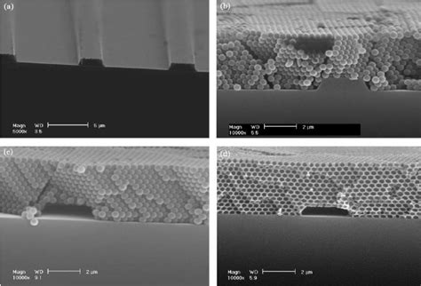 A Sem Image Of The Patterned Substrate The Photoresist Pattern Is A
