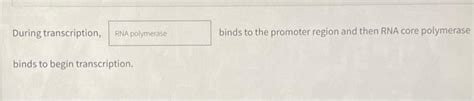 Solved The Start Codon In The Domain Bacteria Will Encode