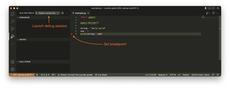 82 Using Vs Code With The Poplar Sdk And Ipus — Tutorials