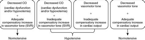 Neonatal Hypotension Clinical Tree