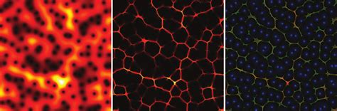 analysis of a discrete white noise signal consisting of n independent