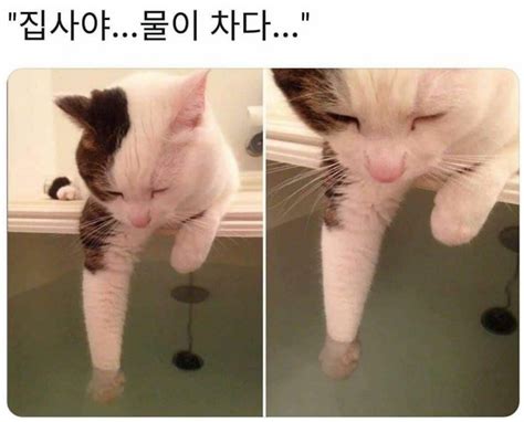 [python] 인자와 알규먼트의 차이점 이해하기 🐍