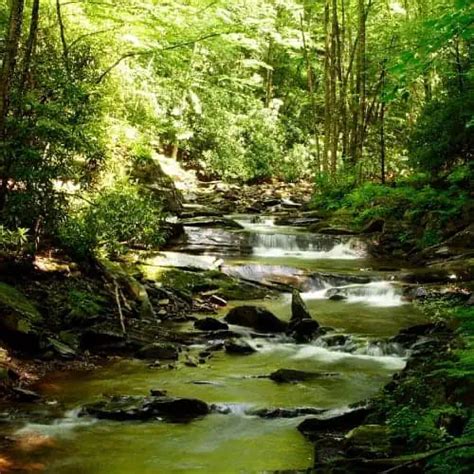 List Of Different Types Of Streams Facts And Pics Pond Informer