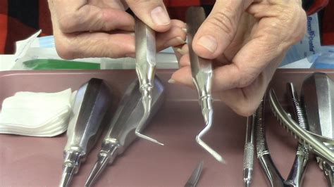 Tooth Extraction Tray Setup At Iris Morris Blog