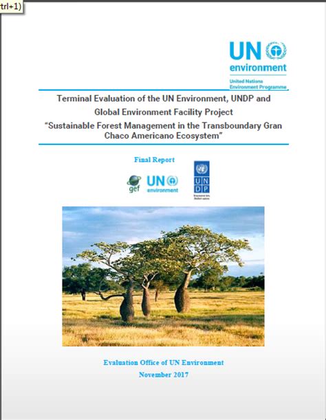 Terminal Evaluation Of The Un Environment Undp And Global Environment