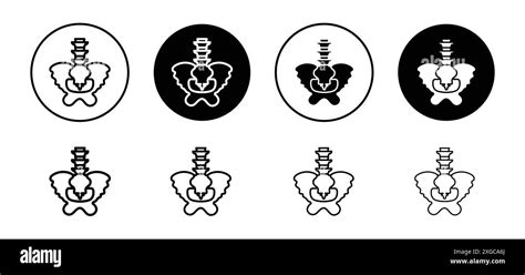pelvic area icon vector logo set collection for web app ui stock vector