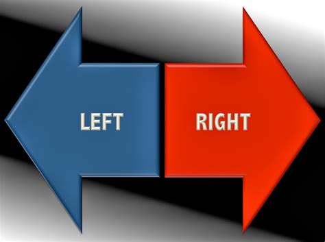 CONTRARY BRIN Both The Right And Left Have Gone Quite Mad