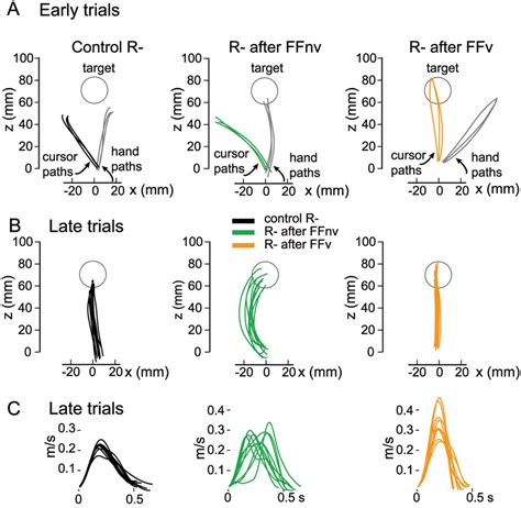 Double Perturbations Of Matched Directions Visuomotor Rotation