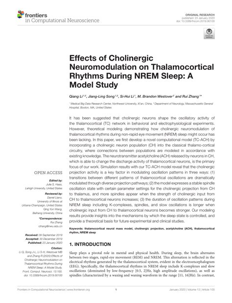 Pdf Effects Of Cholinergic Neuromodulation On Thalamocortical Rhythms During Nrem Sleep A