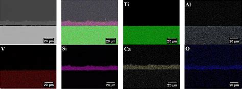 EDS Map Analysis Of BG Coating Cross Section Download Scientific Diagram