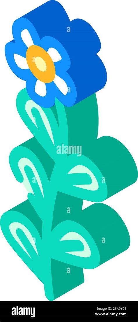 Brahmi Ayurvedic Herb Isometric Icon Vector Brahmi Ayurvedic Herb Sign