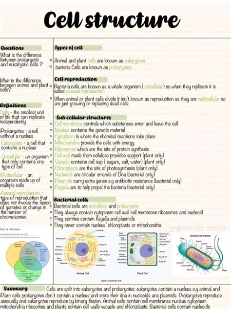 Cell Biology Notes Artofit