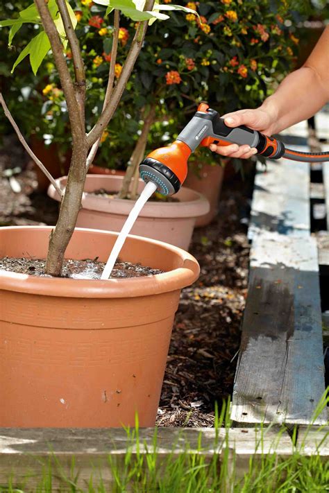 Gardena Adjustable Spray Wand — California Home And Garden