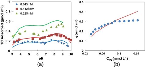 Model Validation Results Symbols Are Experimental Data And Lines Are