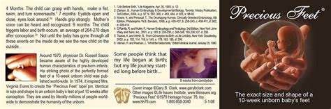 Pro Life Precious Feet 14k Gold Plated