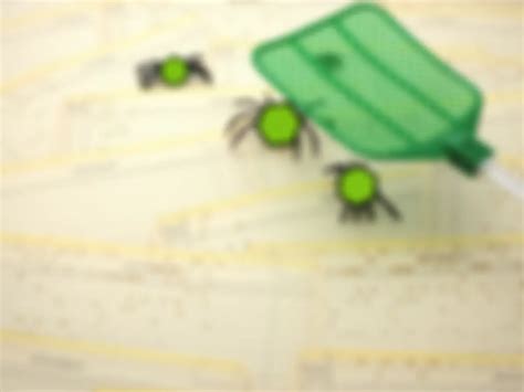 Kỹ Thuật Debug ứng Dụng Viết Bằng Nodejs