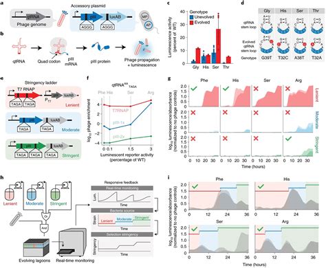 Systematic Molecular Evolution Enables Robust Biomolecule Discovery Pmc