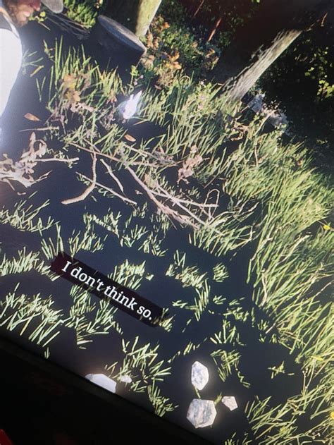 Texture Glitch How To Fix R Pcreddead