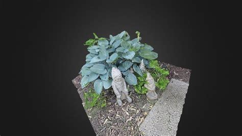 Halcyon 3d Models Sketchfab