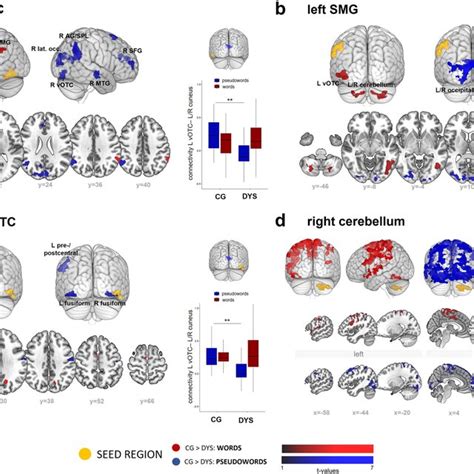 Differences In Task Specific Functional Coupling Between The Control