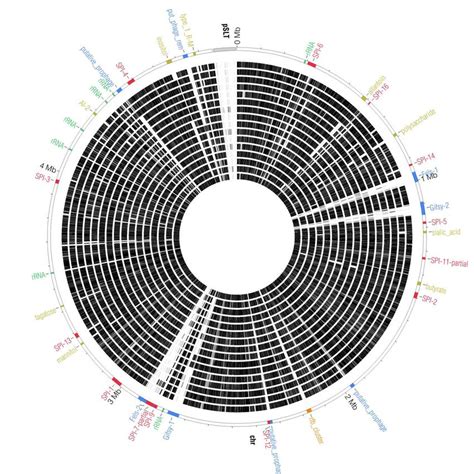 Microbial Genome Sequencing On The Applied Biosystems Solid And Ion