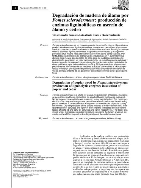 Pdf Degradación De Madera De álamo Por Fomes Sclerodermeus Producción De Enzimas