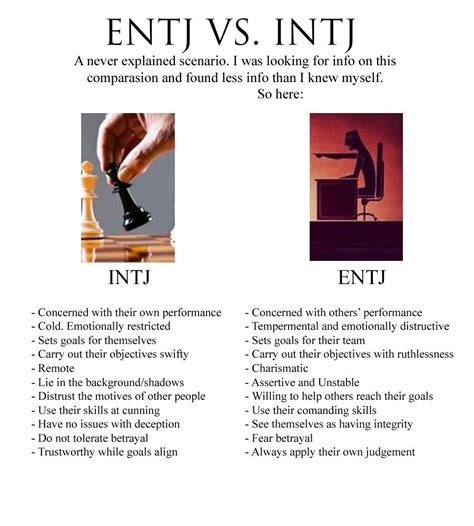 Entj Vs Intj Understanding The Differences