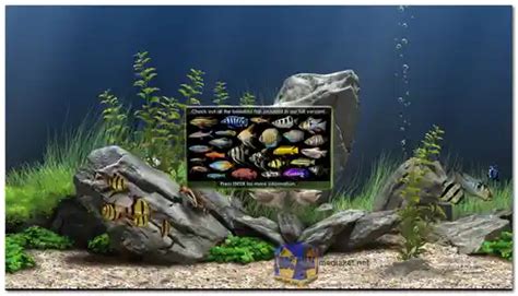 Dream Aquarium Screensaver V127 Realistic 3d Fish Tank
