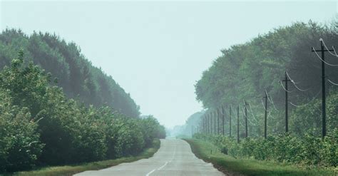 Passeio De Lazer 경치 경치가 좋은 고요한 고요함 나무 나뭇잎 녹지 농촌 생활 농촌 지역 도로 러시아 로드 트립 명확한 길 목가적 인