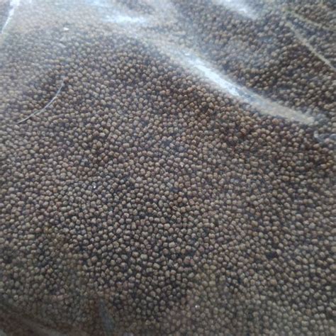 Jual Umpan Pancing Pe 800 500 Gr Apung Pe800 Shopee Indonesia