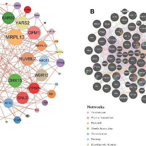 A C Main Bp Cc And Mf Of Overlapping Gene Enrichment D Major