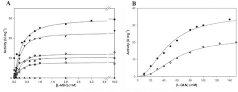 Activity Dependence On Substrate Concentrations Steady State Kinetics