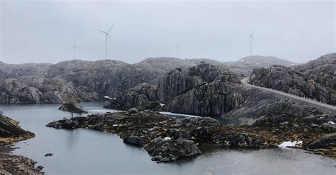 Instrumental Ecologies Assembly With Matthew Biederman Liew Niyomkarn Carla Maier Pierce