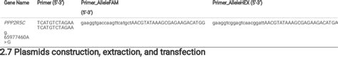 Primers Information For Snps Genotyping Download Scientific Diagram