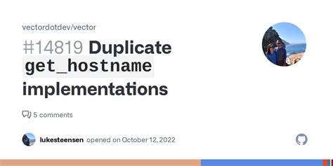 Duplicate `gethostname` Implementations · Issue 14819 · Vectordotdevvector · Github