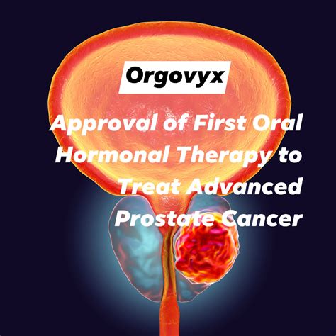 Dr Harb Dr Harb Added A New Photo