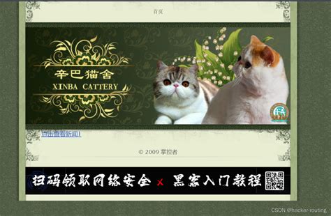 记封神台的一次sql注入靶场渗透测试 harkbar sql 注入测试 csdn博客