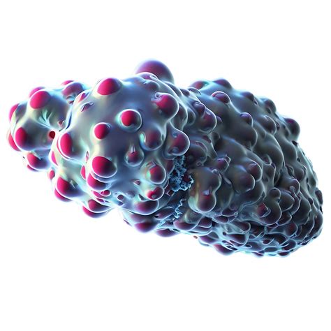 Nucleus Scientific Representation Png Lmw Png Image