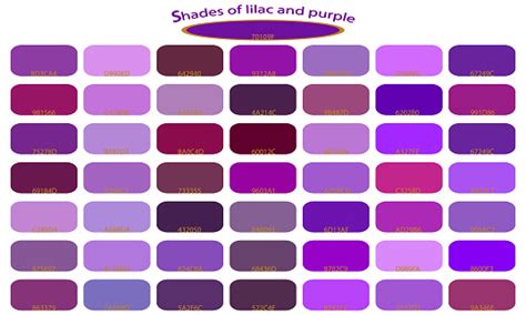 Shades Of Purple Violet And Lilac Color Isolated On White Background
