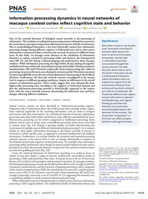Pdf Information Processing Dynamics In Neural Networks Of Macaque Cerebral Cortex Reflect