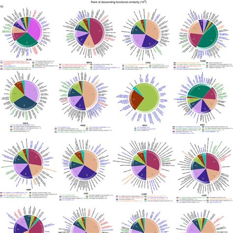 Performance Of The Ensemble Learning Model A Overview Of The Model Download Scientific Diagram