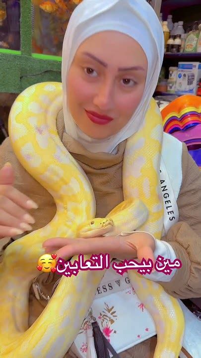 التعابين طيبين اوي Youtube