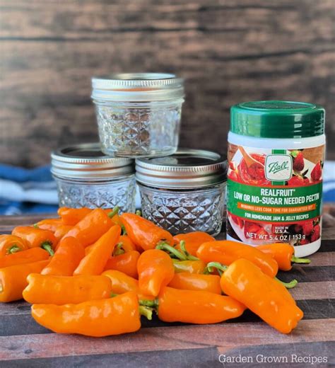 Hot Datil Pepper Jelly Recipe St Augustine Style
